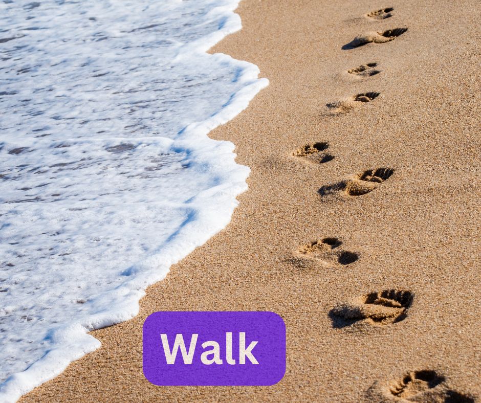 Walk - David Ebaugh Bible School